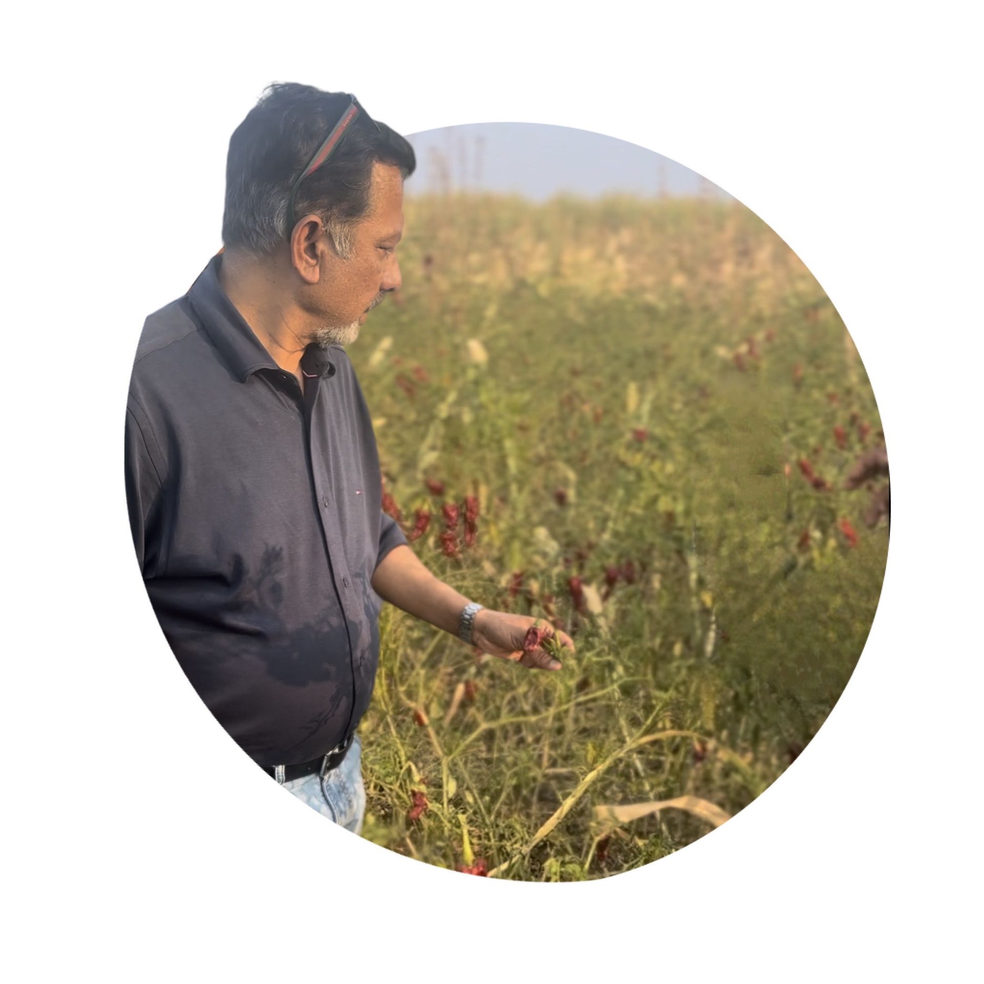 Home | Miller Stores