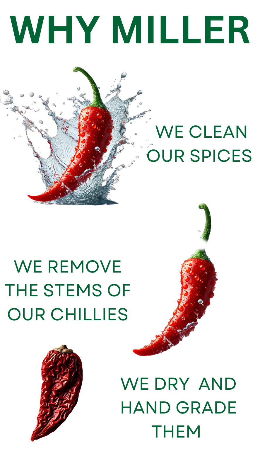 Home | Miller Stores