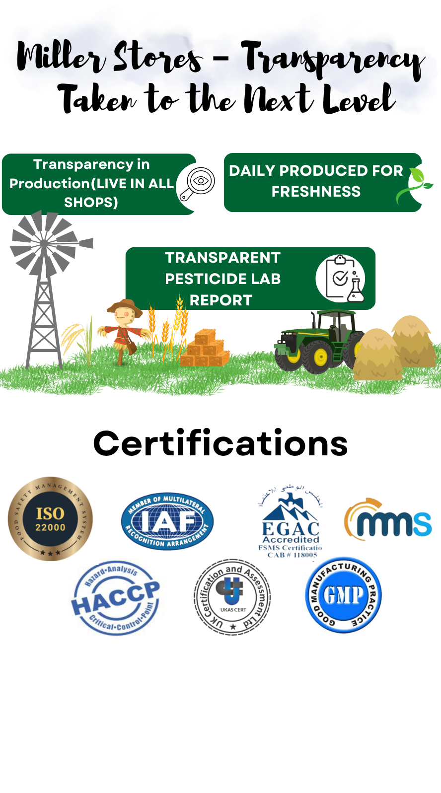 Home | Miller Stores